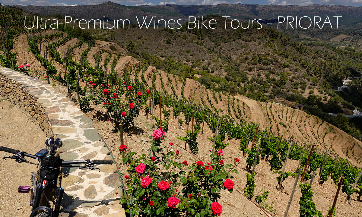 BIKE & WINE SPAIN | OENOLOGICAL LUXURY CYCLING TRIPS IN SPAIN